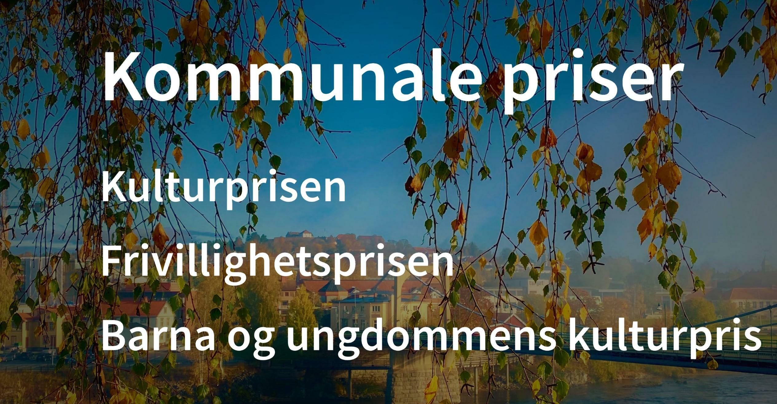 Kjenner du noen som har gjort seg fortjent til en kommunal pris? - Kongsvinger kommune